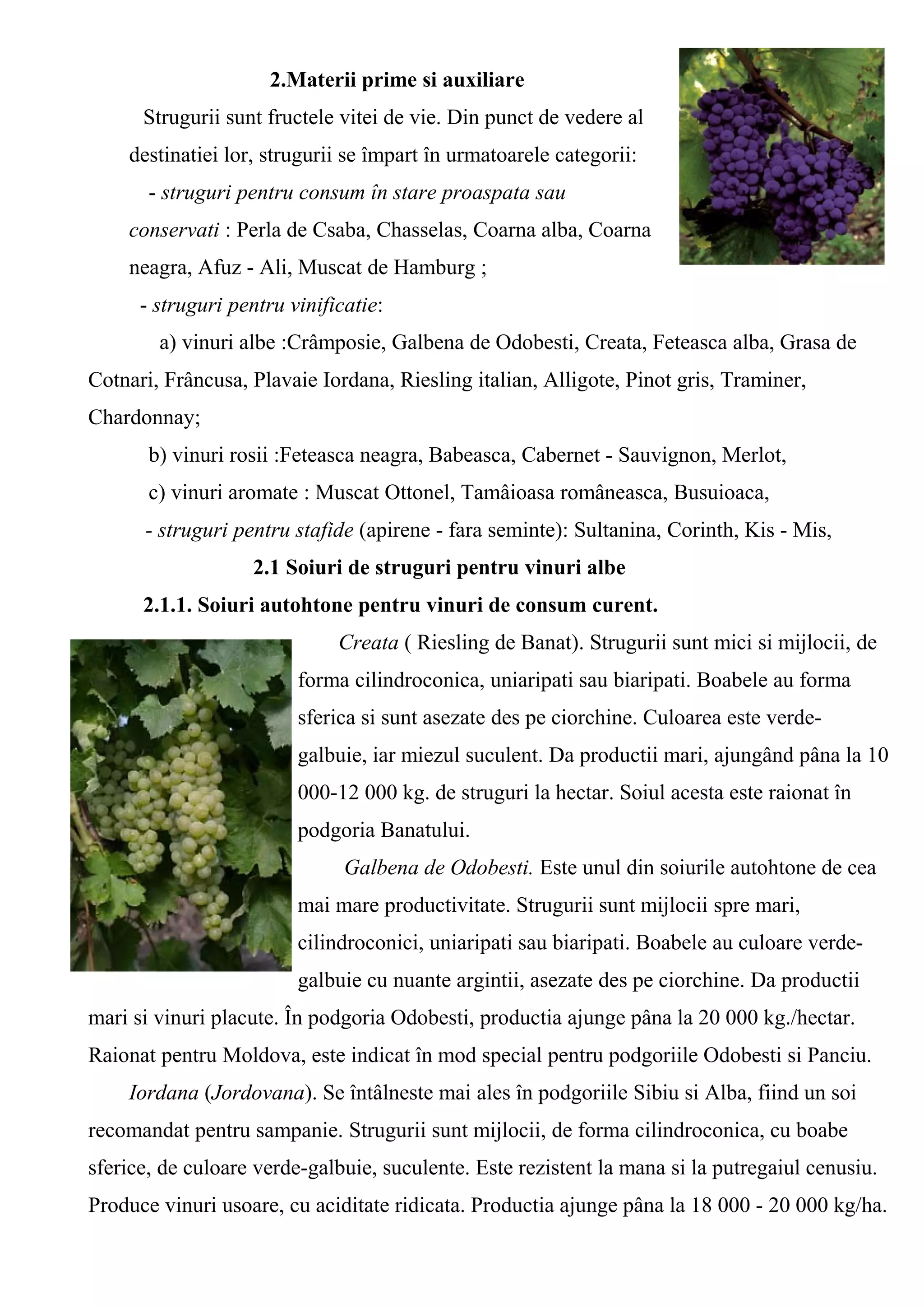 Calitatea vinului alb | DOC
