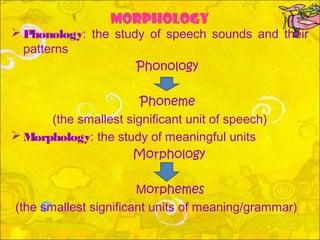 MORPHOLOPGY-Call | PPT | Geology | Science