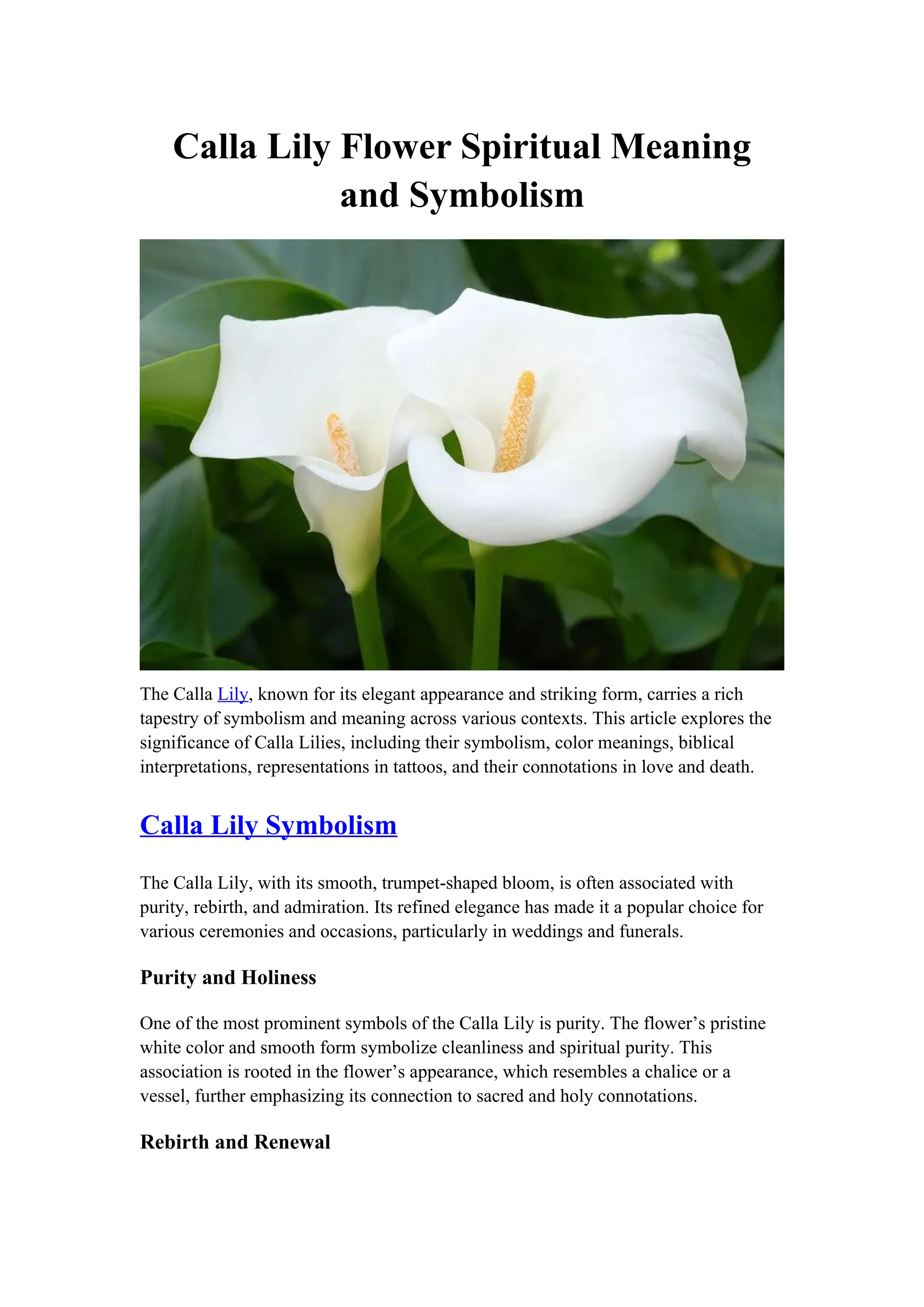 Calla Lily Flower Spiritual Meaning and Symbolism.docx