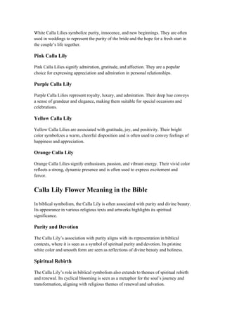 Calla Lily Flower Spiritual Meaning and Symbolism.docx