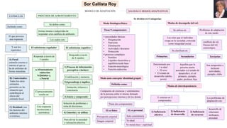 callista mapa conceptual.pptx