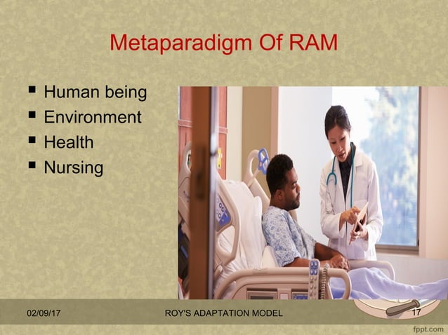 Roy's Adaptation Model | PPT