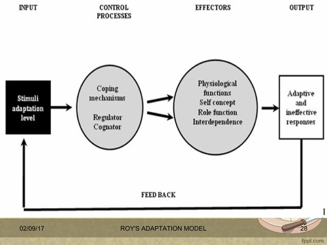 Roy's Adaptation Model | PPT