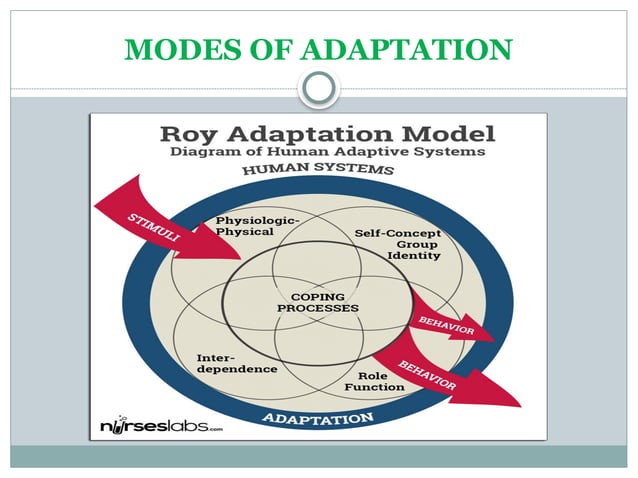 Callista Roy Adoptation Model of nursing | PPTX