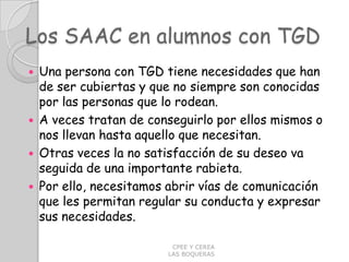 SISTEMAS SAAC PECS - HABLA SIGNADA DE B. SCHAEFFER | PPTX