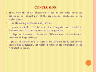 CALLOSE DEPOSITION IN POLLEN IN HIGHER PLANTS | PDF