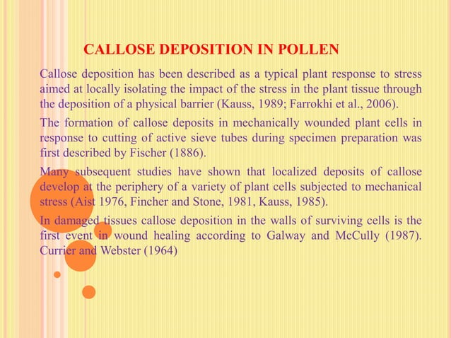 CALLOSE DEPOSITION IN POLLEN IN HIGHER PLANTS | PDF