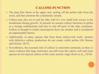 CALLOSE DEPOSITION IN POLLEN IN HIGHER PLANTS | PDF