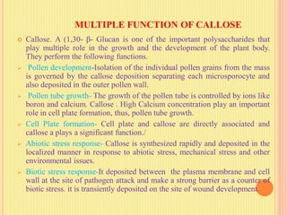 CALLOSE DEPOSITION IN POLLEN IN HIGHER PLANTS | PDF