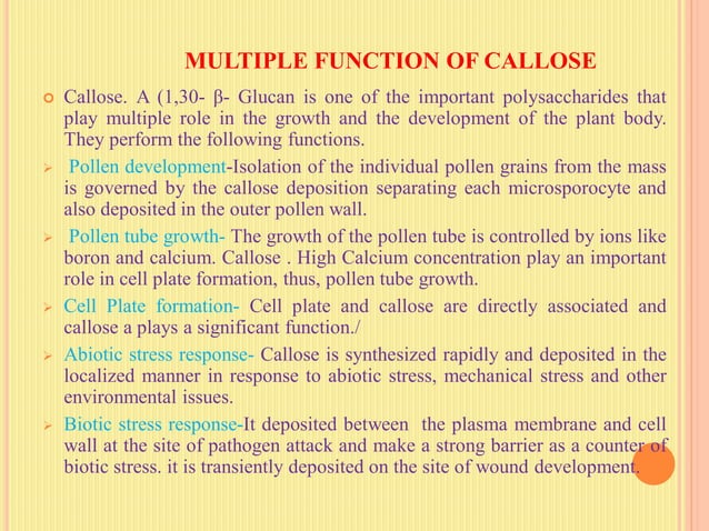 CALLOSE DEPOSITION IN POLLEN IN HIGHER PLANTS | PDF