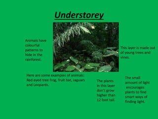 Callum and bartosz | PPT