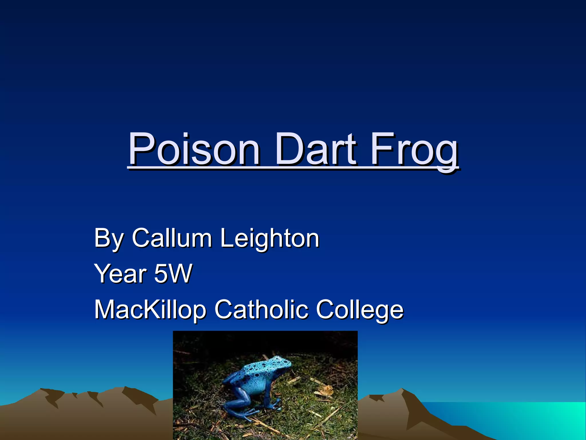 Callum l poison dart frog powerpoint | PPT