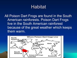 Callum l poison dart frog powerpoint | PPT
