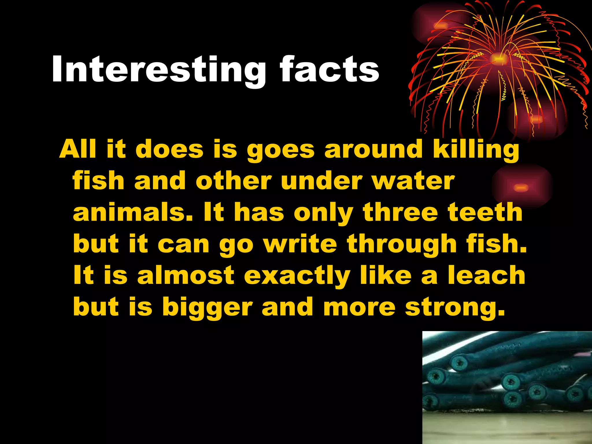 Callum mac donald awesome sea lamprey slide show 1 | PPT