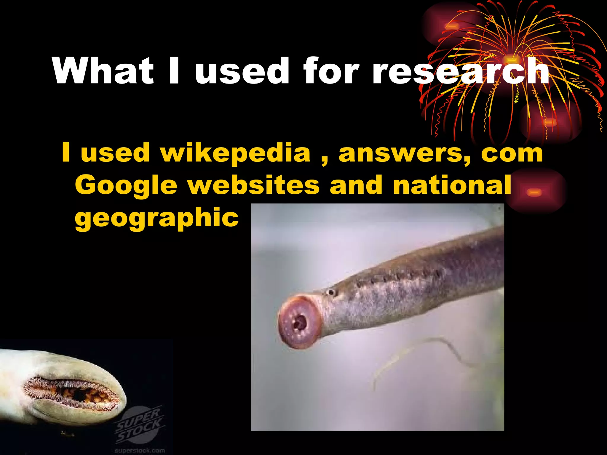 Callum mac donald awesome sea lamprey slide show 1 | PPT