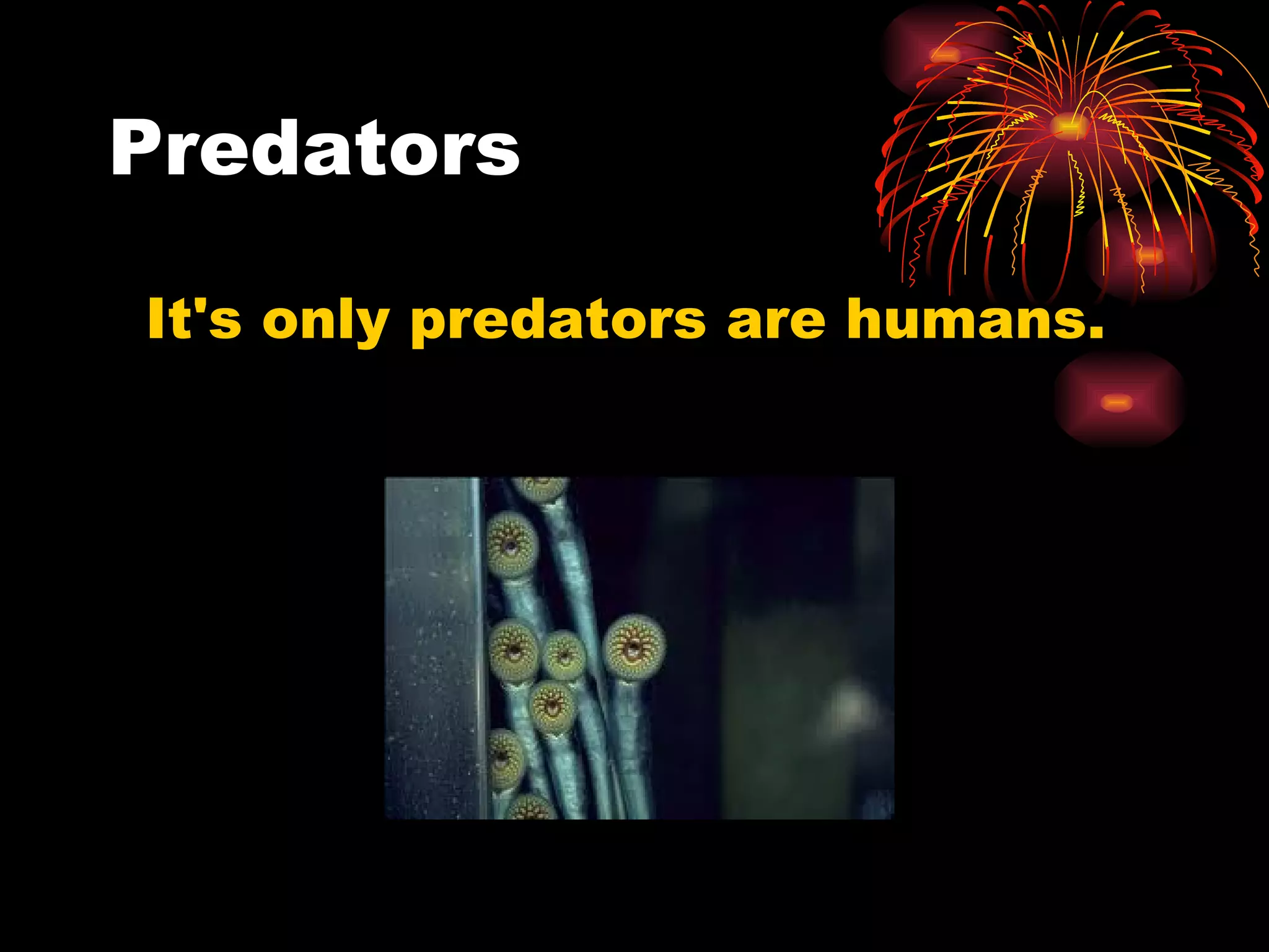 Callum mac donald awesome sea lamprey slide show 1 | PPT