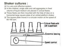 Plant Biotechnology Callus and suspension.pptx