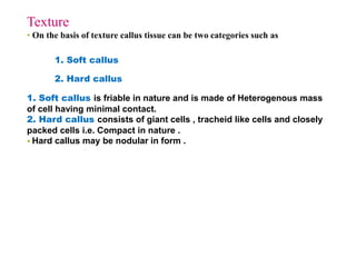 Plant Biotechnology Callus and suspension.pptx