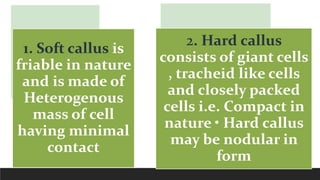 Callus culture | PPTX