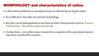 Callus culture | PPTX