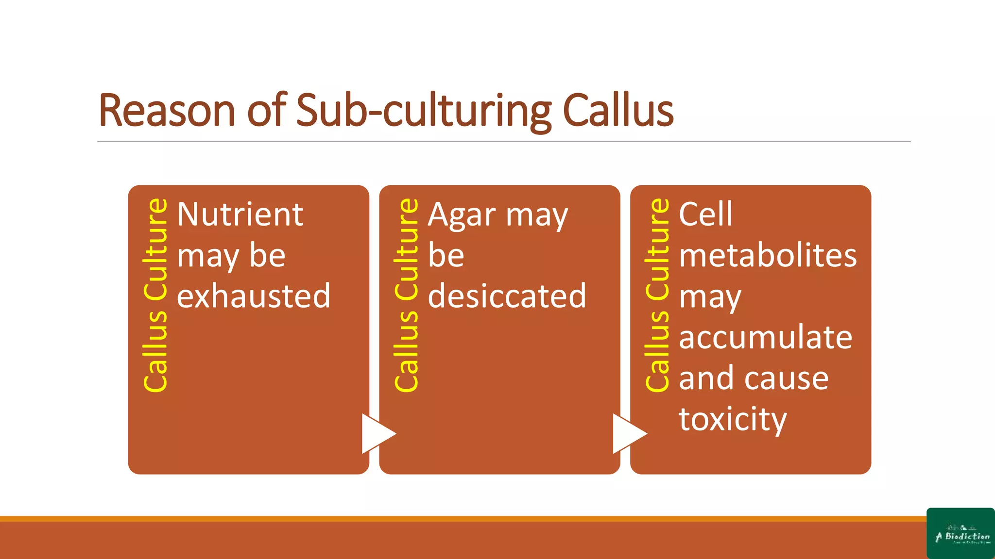 Callus culture - Plant Tissue Culture | PPTX