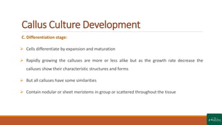 Callus culture - Plant Tissue Culture | PPTX