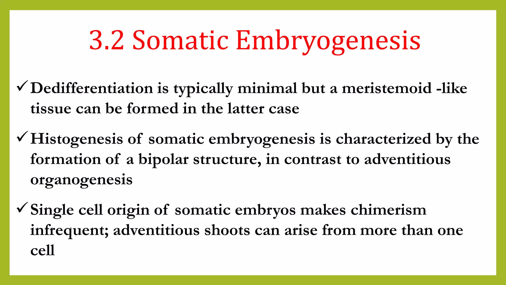 Callus culture ppt | PPTX