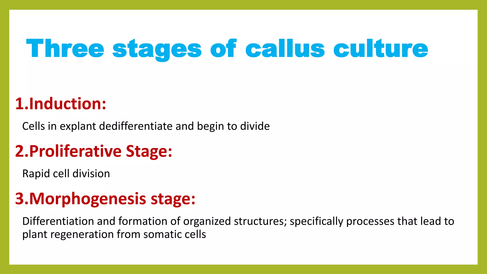 Callus culture ppt | PPT