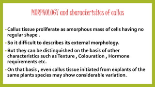 Callus culture ppt | PPTX