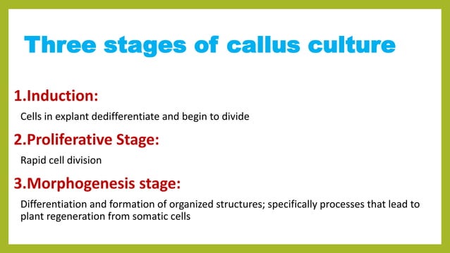 Callus culture ppt | PPTX | Gardening | Home & Garden