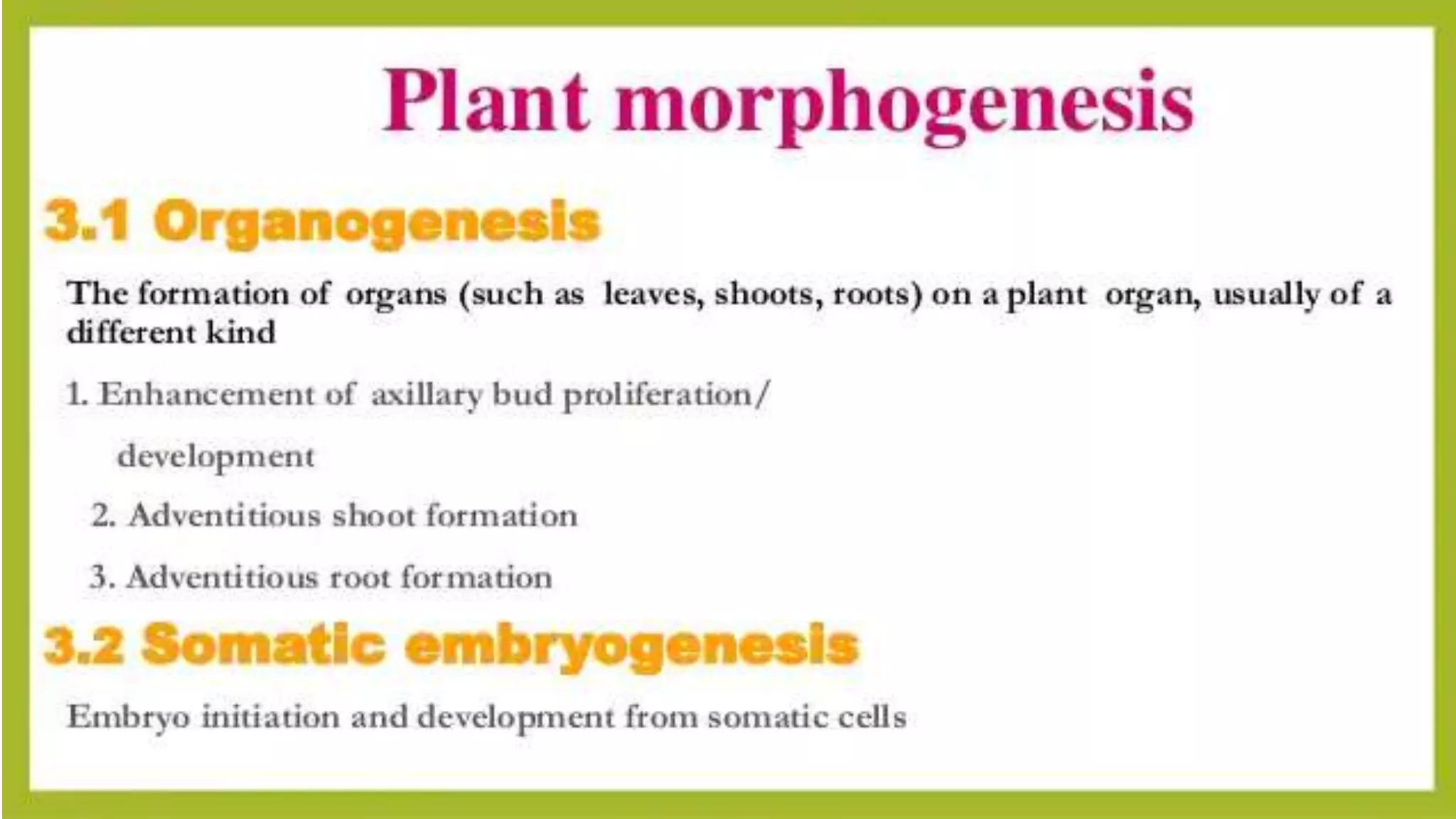 Callus induction | PPTX