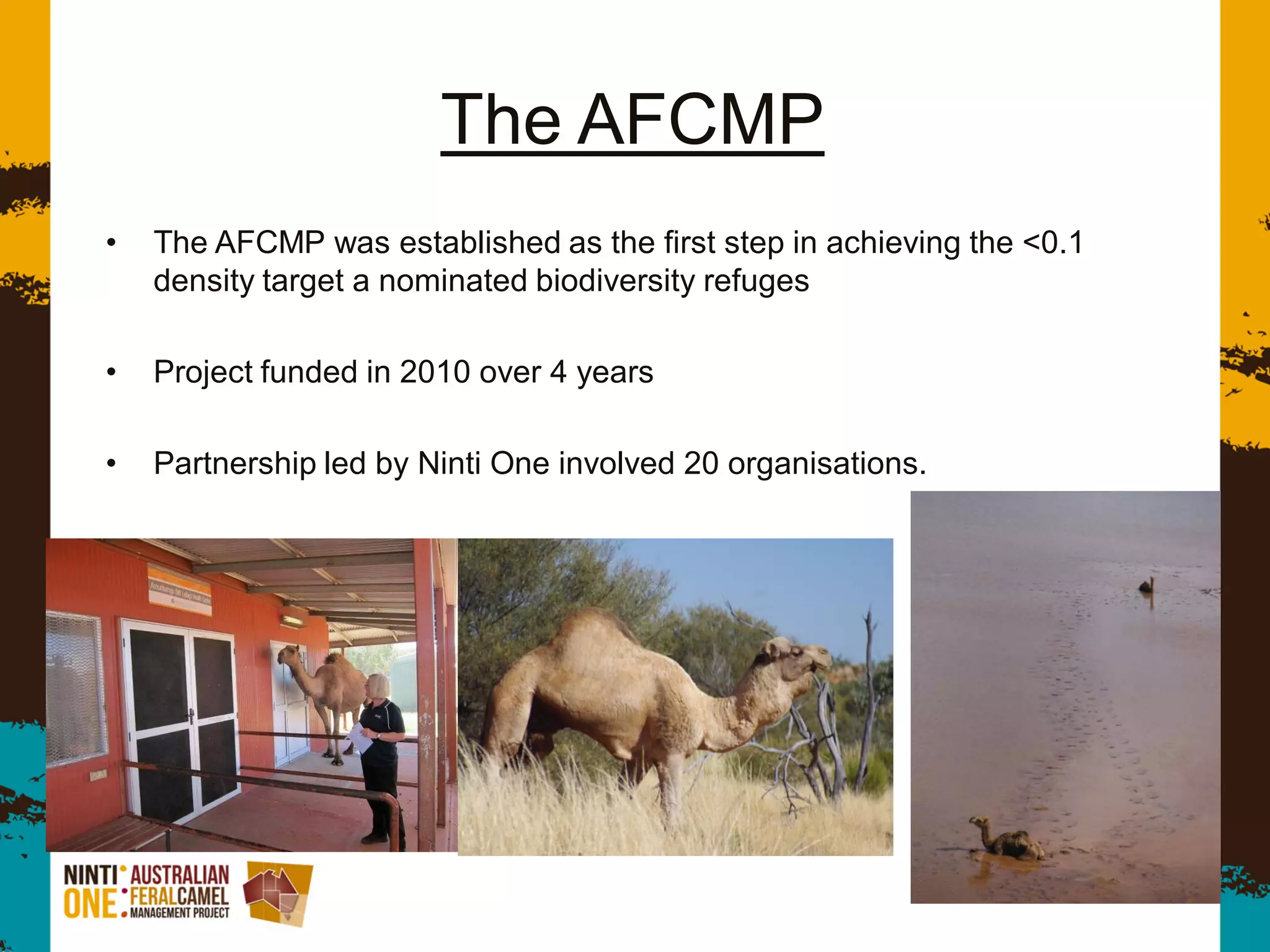 Tom Calma: 'Ninti One and its involvement in the AFCMP'. Reducing feral ...