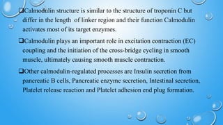 Calmodulin and its regulatory role | PPTX