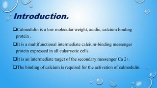 Calmodulin and its regulatory role | PPTX