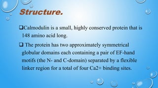 Calmodulin and its regulatory role | PPTX