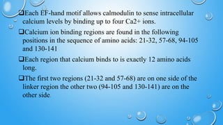 Calmodulin and its regulatory role | PPTX