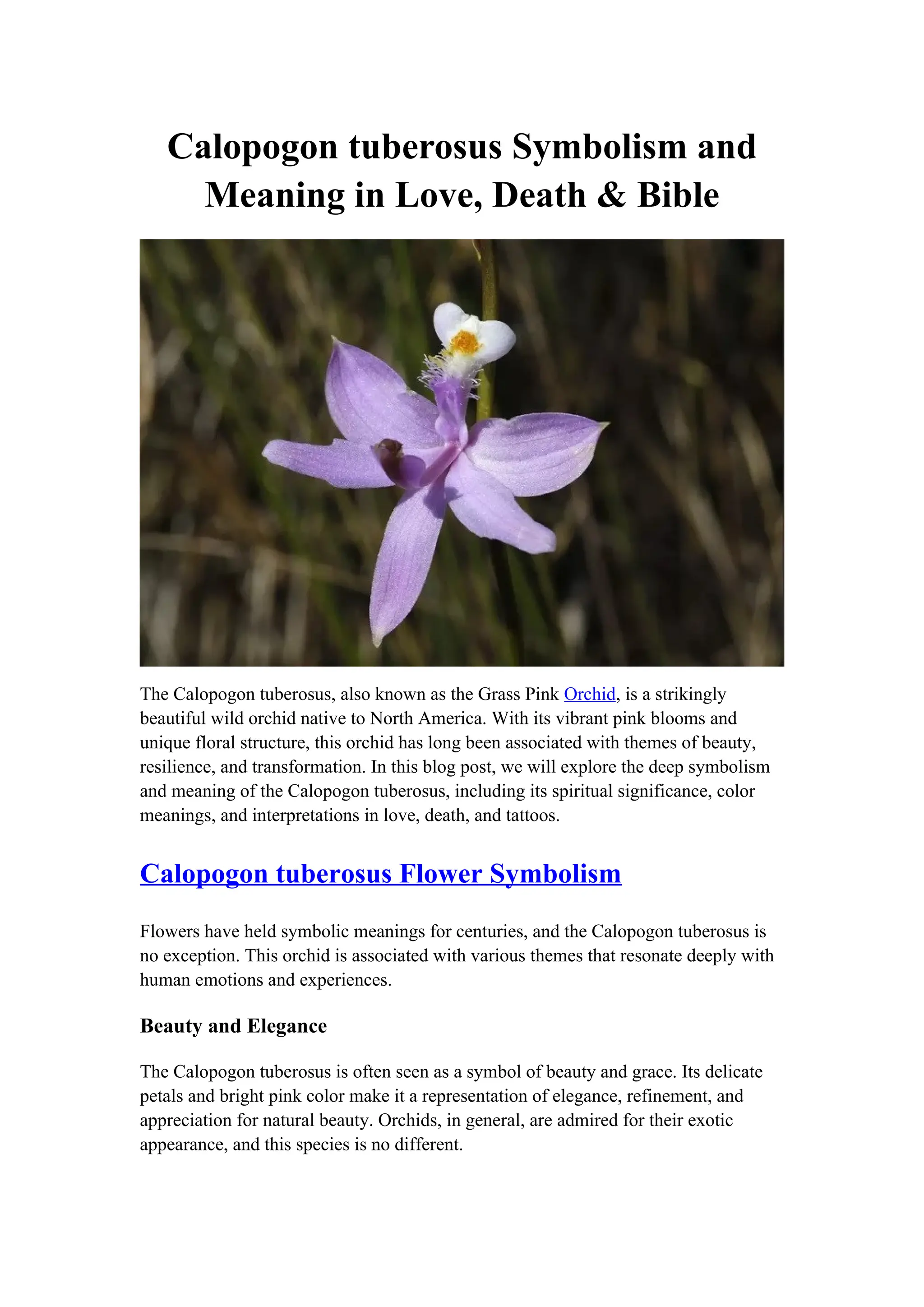 Calopogon tuberosus Symbolism and Meaning in Love, Death & Bible.docx