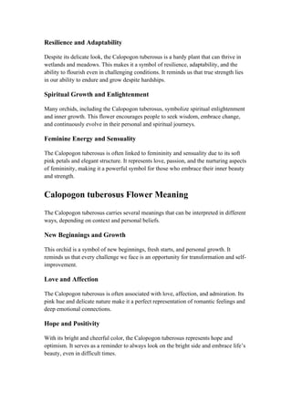 Calopogon tuberosus Symbolism and Meaning in Love, Death & Bible.docx