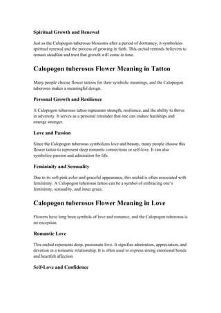 Calopogon tuberosus Symbolism and Meaning in Love, Death & Bible.docx