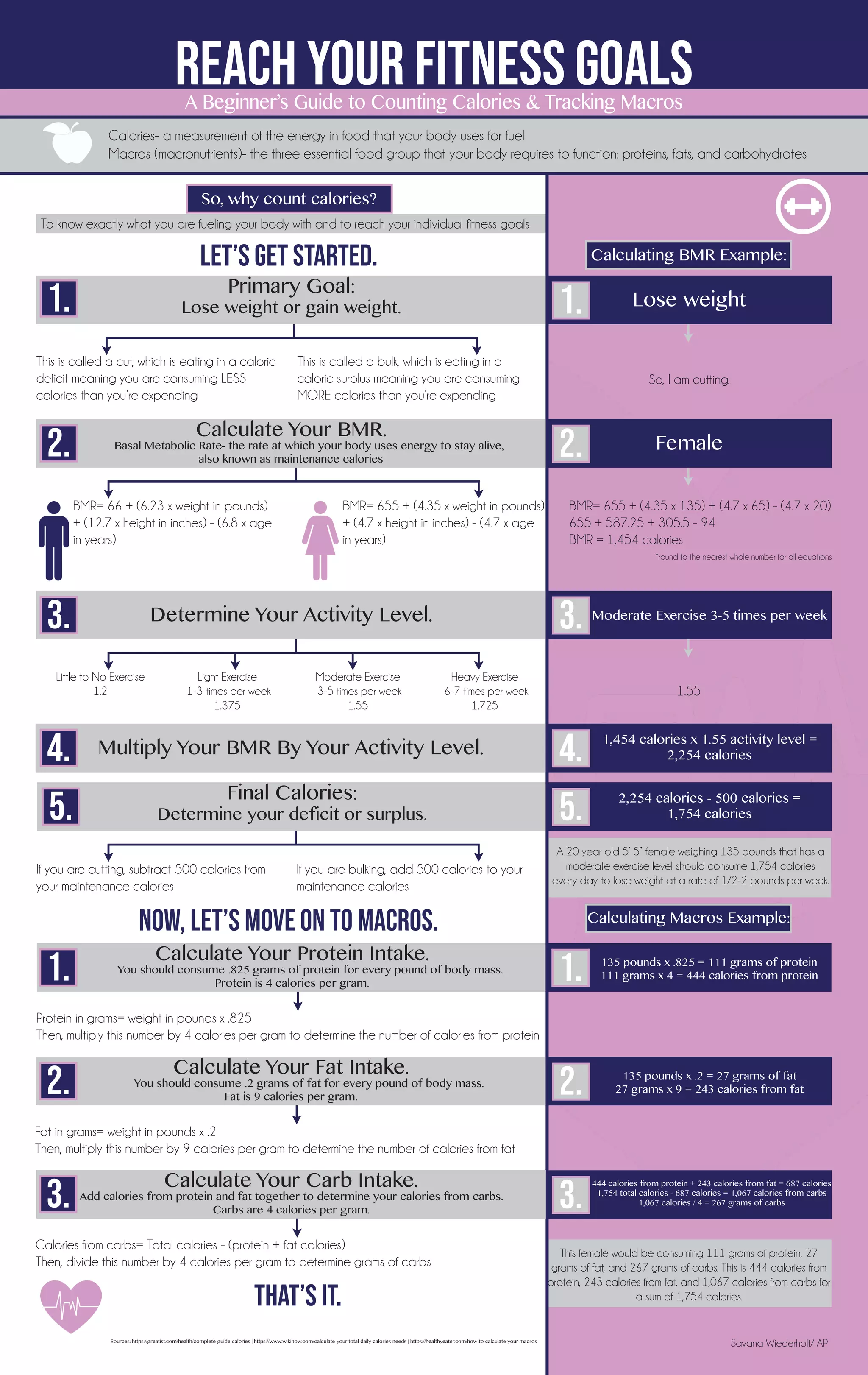 Calories & Macros Infographic | PDF