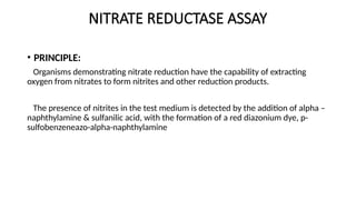 Calorimetric Nitrate Reduction Assay.pptx