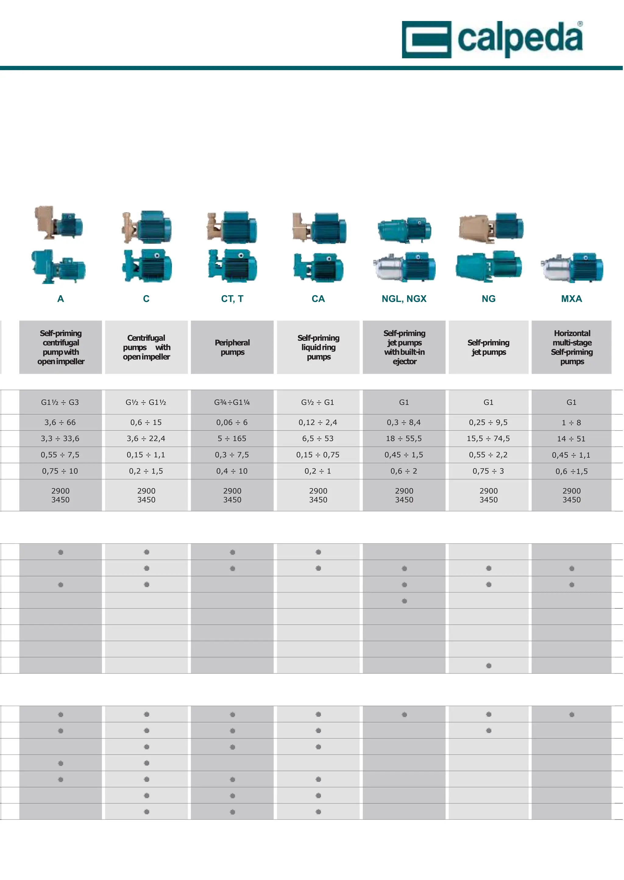 calpeda Water Efficient and Effective Pump.pptx