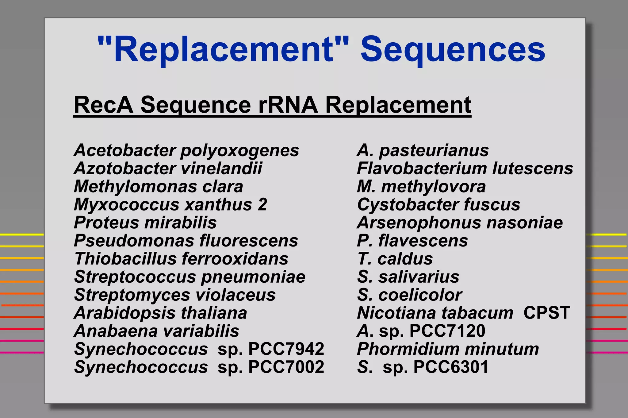 Evolution of the RecA Protein: from Systematics to Structure 1995 talk ...