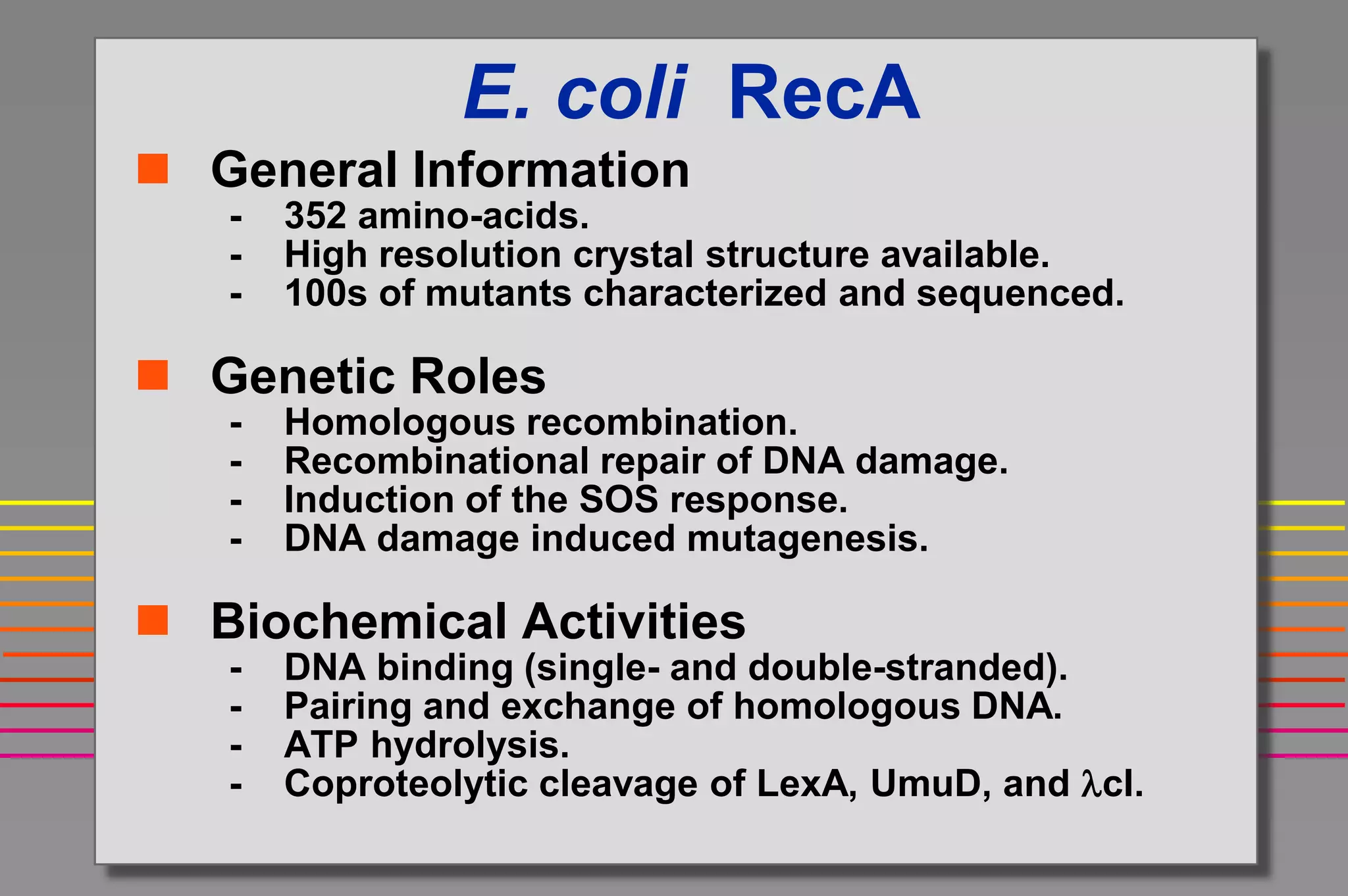 Evolution of the RecA Protein: from Systematics to Structure 1995 talk ...