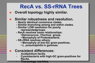 Evolution of the RecA Protein: from Systematics to Structure 1995 talk ...