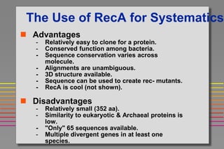 Evolution of the RecA Protein: from Systematics to Structure 1995 talk ...