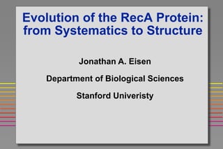 Evolution of the RecA Protein: from Systematics to Structure 1995 talk ...