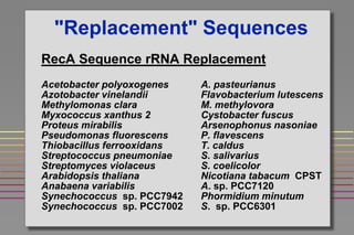 Evolution of the RecA Protein: from Systematics to Structure 1995 talk ...