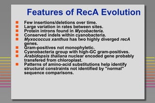 Evolution of the RecA Protein: from Systematics to Structure 1995 talk ...