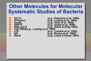 Evolution of the RecA Protein: from Systematics to Structure 1995 talk ...
